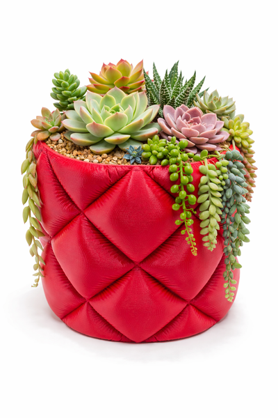 Pillow Planter – Modern Quilted Decorative Plant Pot for Succulents ...