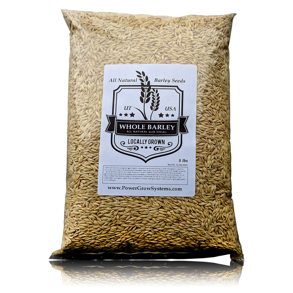 Barley Seeds - All Natural 5 Pounds Whole Barley Seed – PowerGrow ...