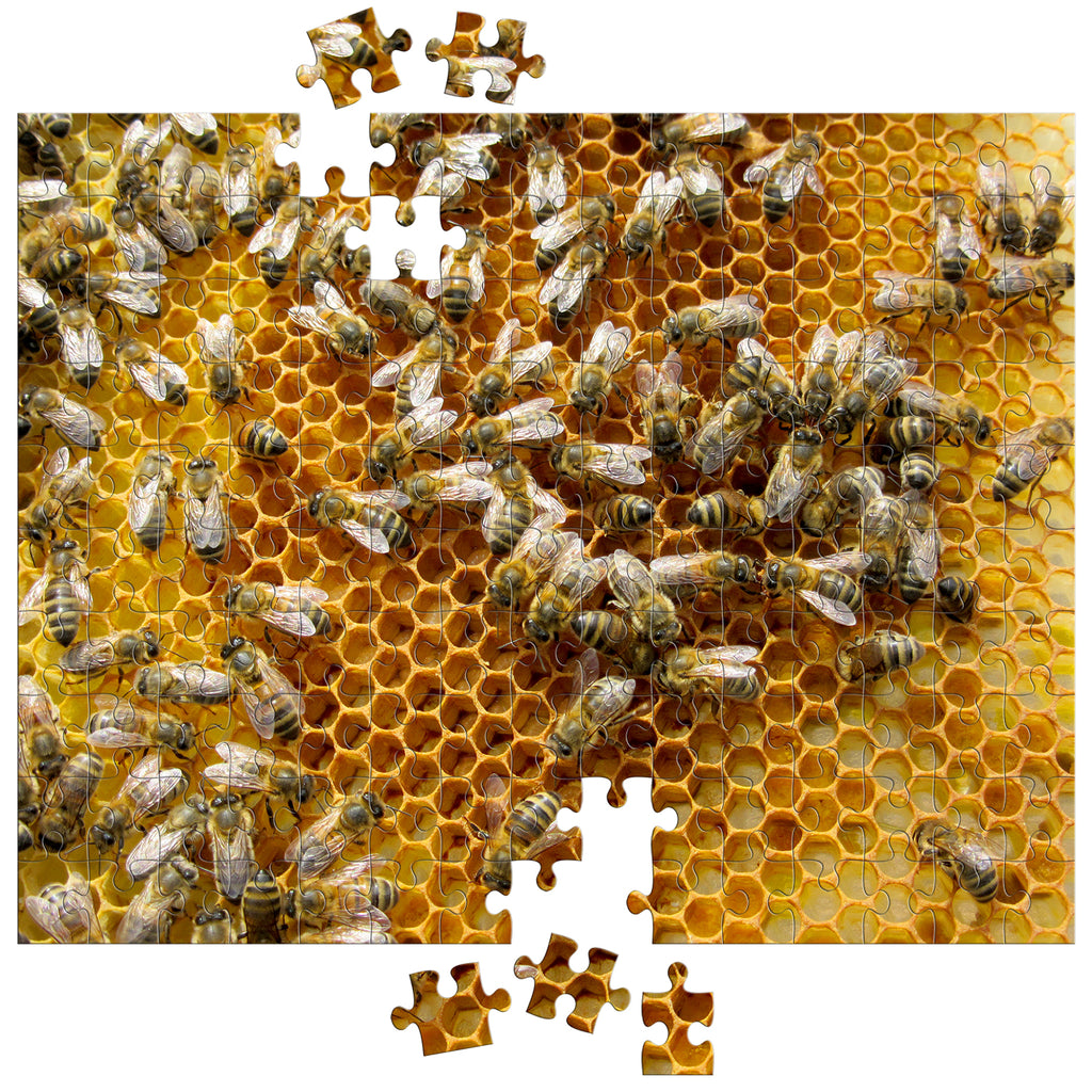 Honeybee Bee Puzzle - Bee Jigsaw Puzzles for Quarantine Gifts ...