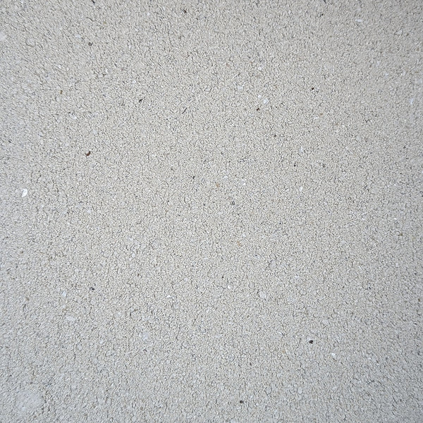 OYSTER Shell Powder - All Natural Ground Oyster Shell – PowerGrow ...