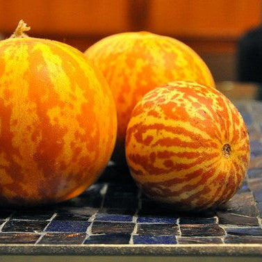 Tigger Melon / Tiger Melon Seeds (10 seeds) – PowerGrow Systems & Utah ...